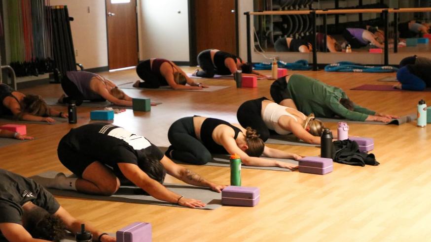 Kinesiology Department | UW-Eau Claire